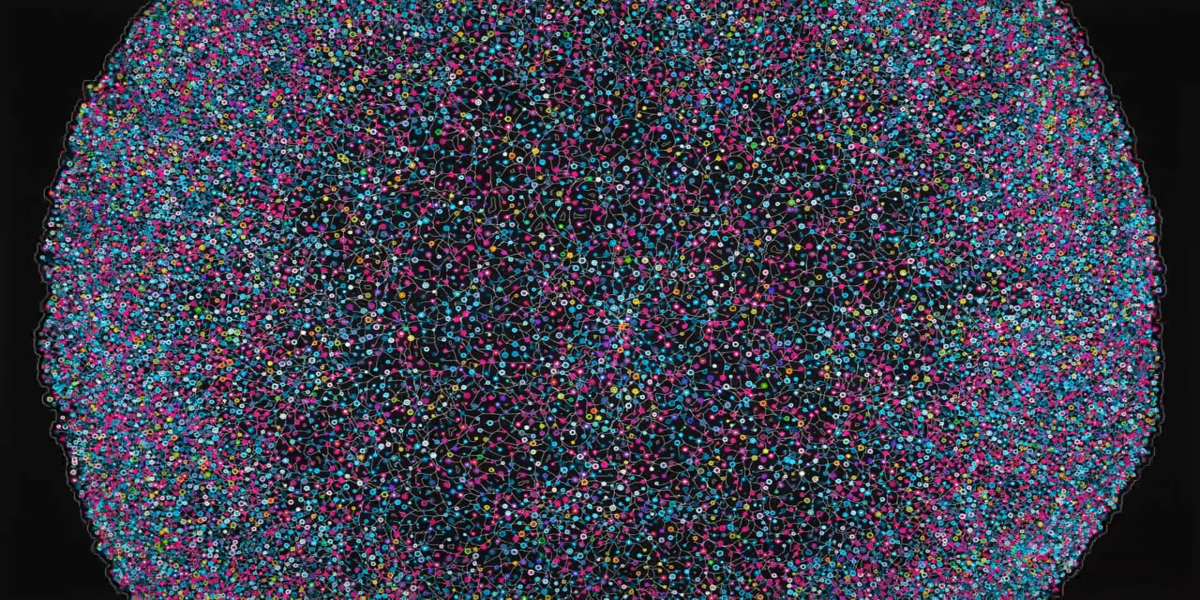 Order from Chaos - Official Video by Maxime Causeret | PolymorphArt.net